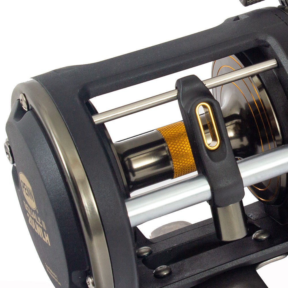 Penn Squall II 20 Level Wind - LH - Angling Centre West Bay